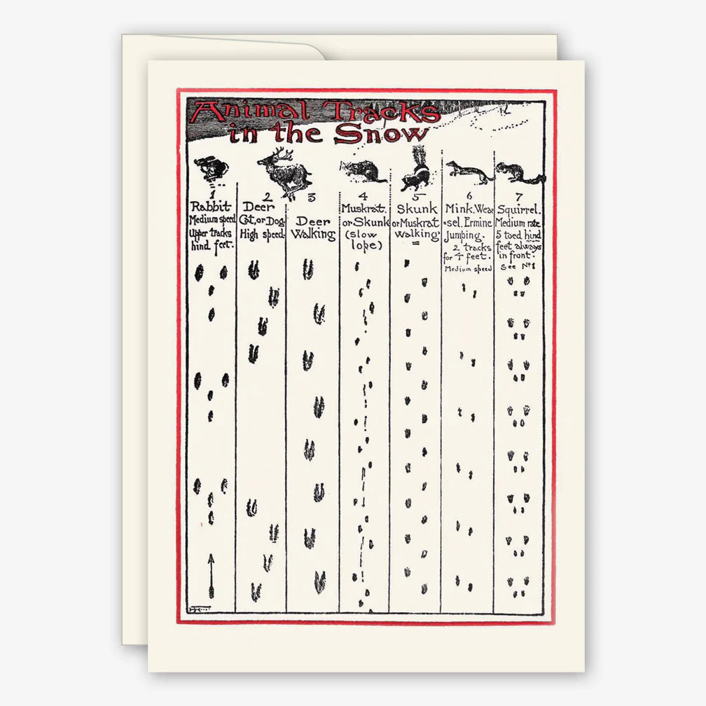 Animal Tracks in the Snow Holiday Cards – The Reader's Catalog