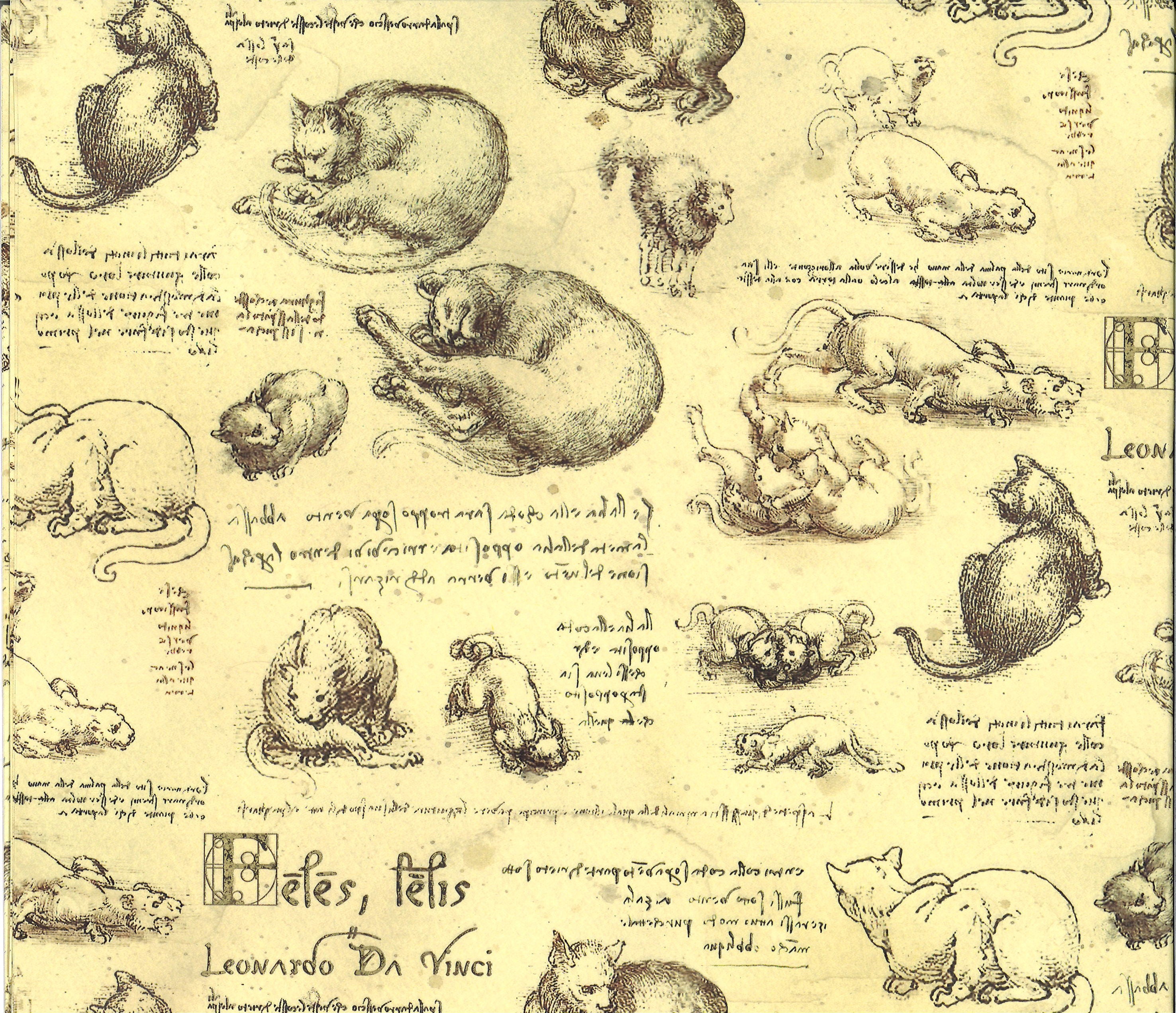 Da Vinci Cats Wrapping Paper – The Reader's Catalog