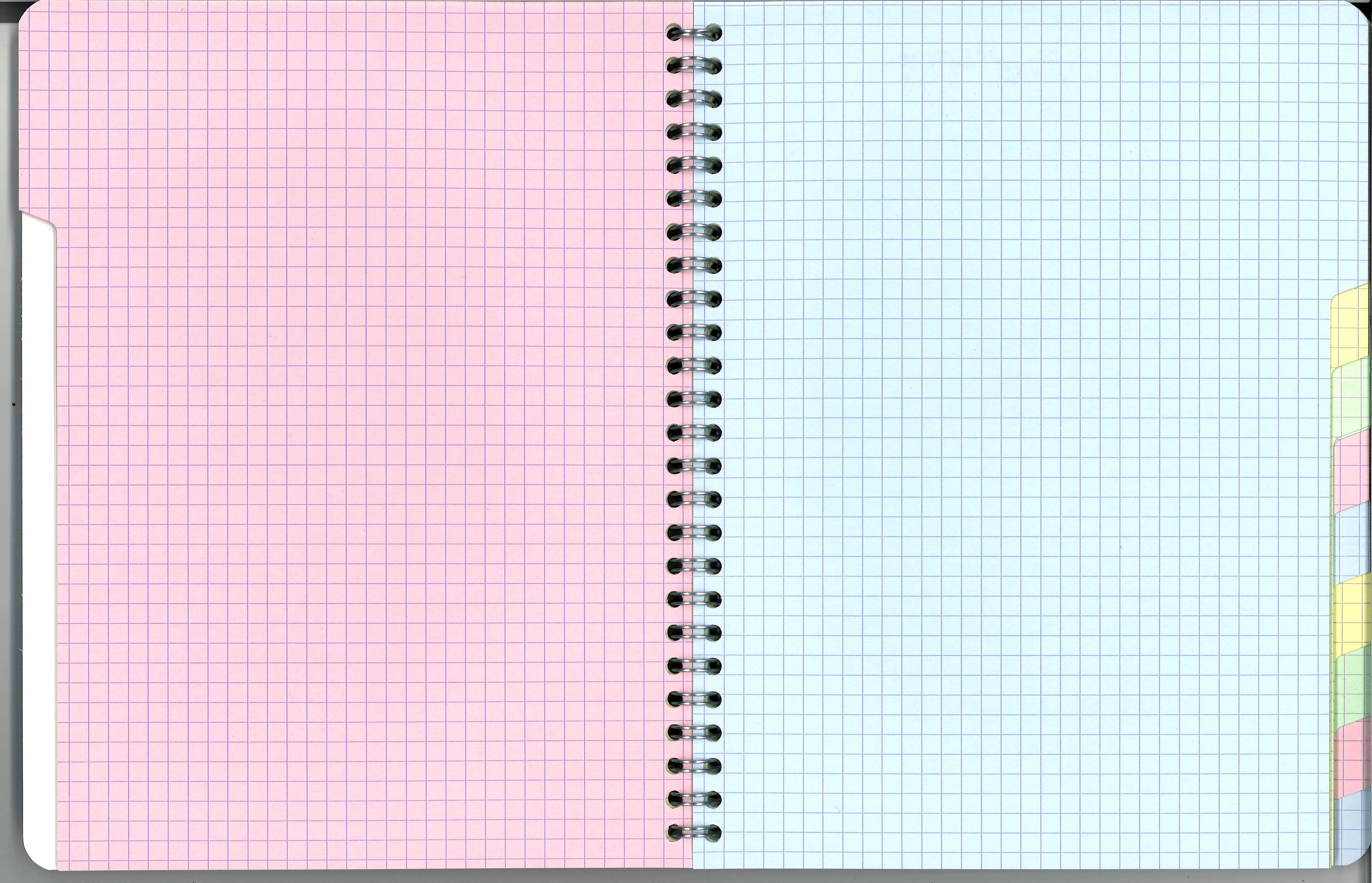 Twelve Subject Graph Notebook with Tabs The Reader s Catalog