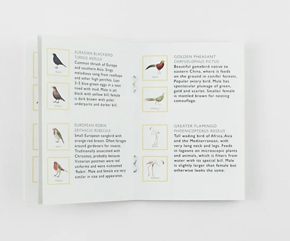 The Reader’s Catalog – Page 6 – The Reader's Catalog